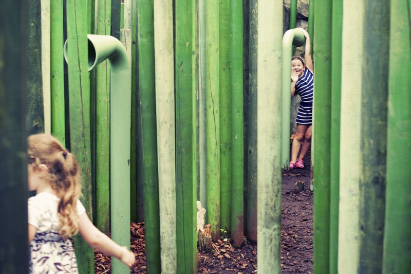 Sieben! - knusperfarben